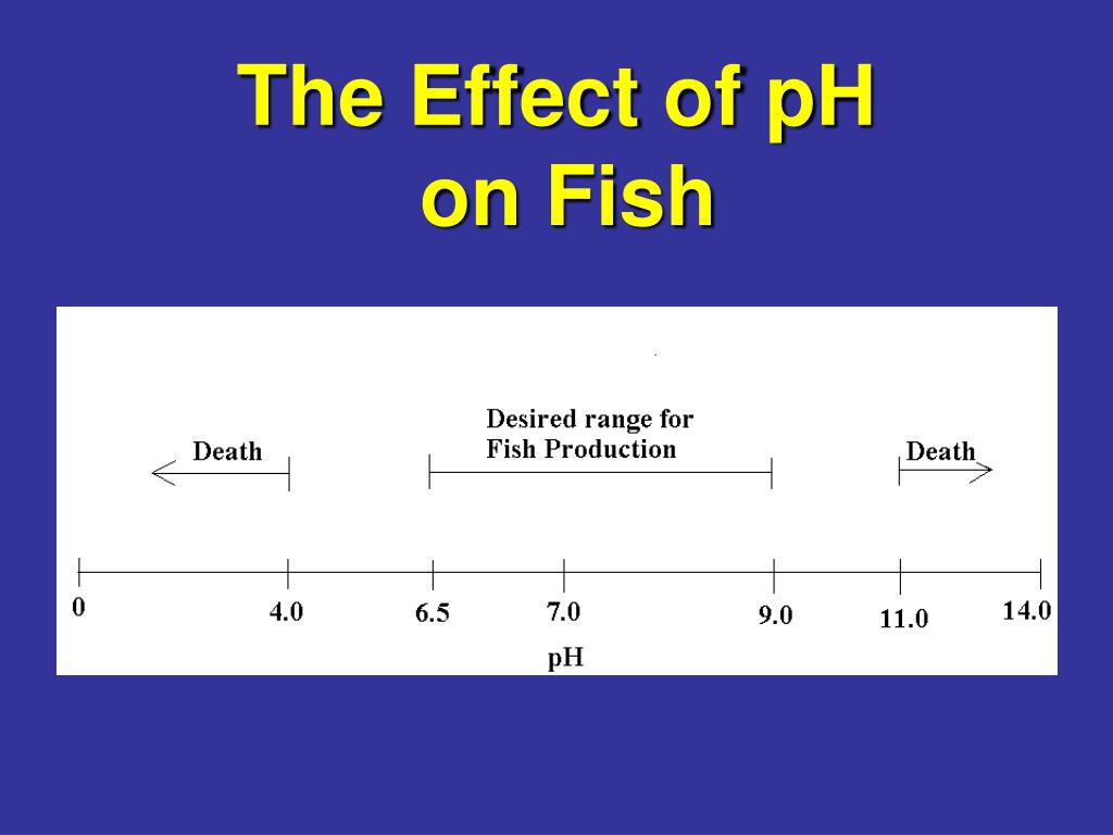 PPT - Janna Rinderneck Staff Environmental Scientist PowerPoint ...