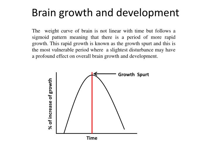 PPT - Brain growth and development PowerPoint Presentation, free ...
