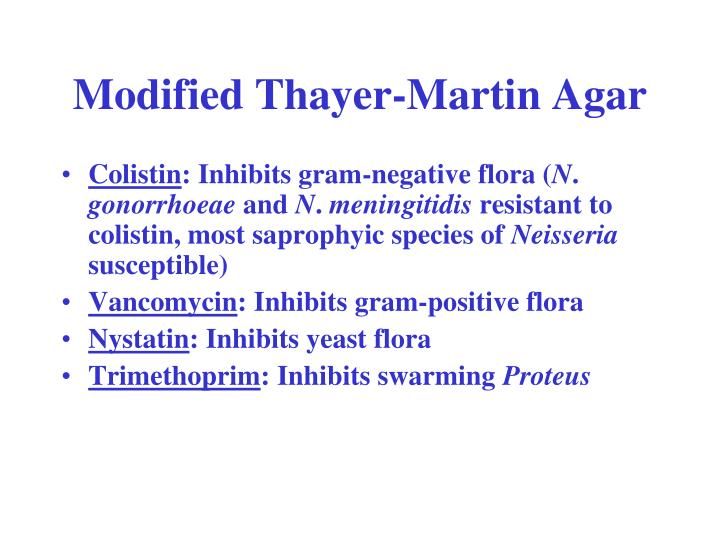 PPT - NEISSERIA PowerPoint Presentation - ID:3376469