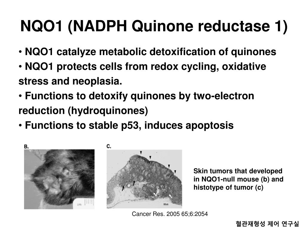 PPT - Pharmacologically-induced Cytoplasmic NAD(P)+/NAD(P)H Ratio by ...