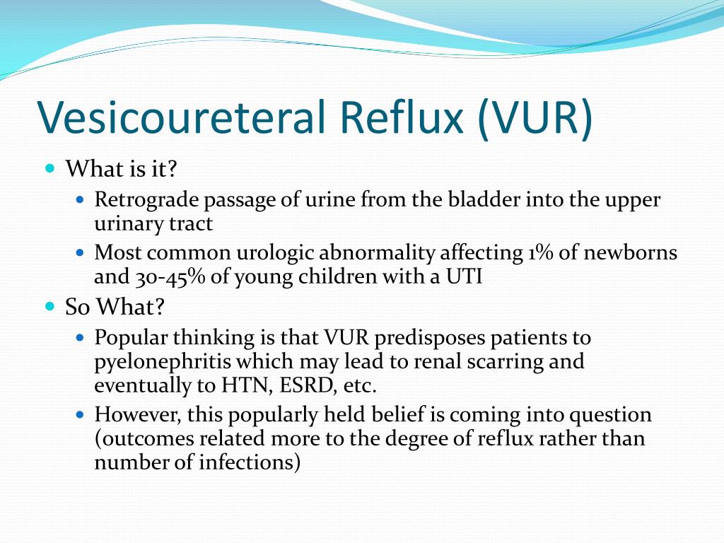 PPT - Medical Student Radiology SYB PowerPoint Presentation, free ...