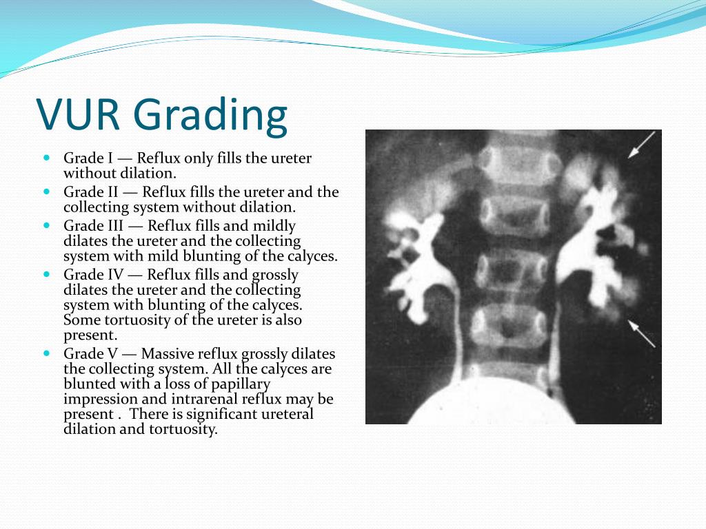 PPT - Medical Student Radiology SYB PowerPoint Presentation, free ...
