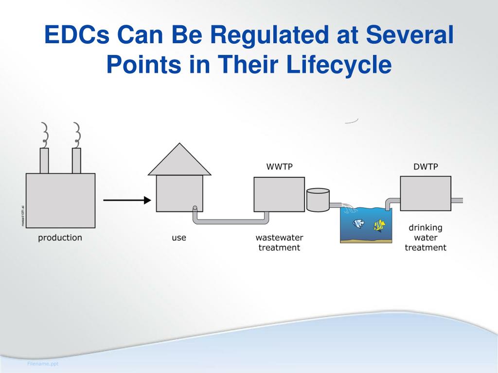 PPT - East Canyon Creek Health: Impacts from Reduced Flows and ...