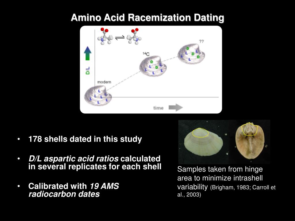 PPT - Age Mixing Among Sympatric Bivalves and Brachiopods from the ...