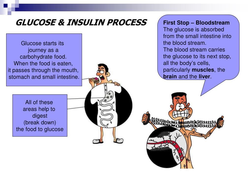 PPT - CARE OF THE HOSPITALIZED PATIENT WITH AN INSULIN PUMP PowerPoint ...