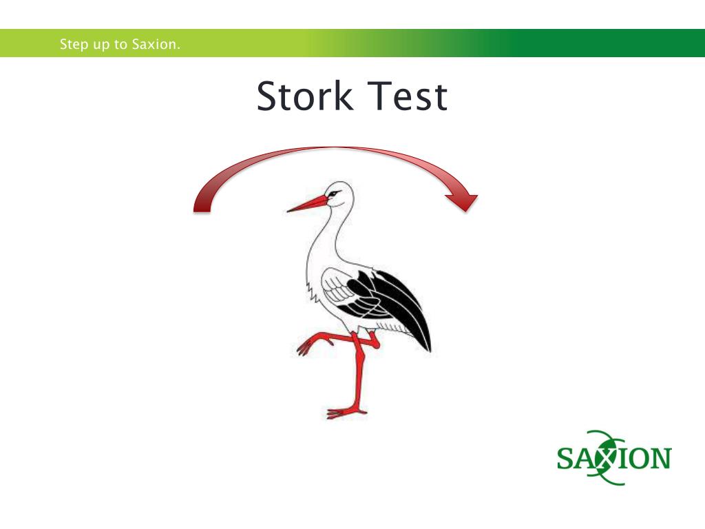PPT - Bekken samen bekeken Stabiliteit rondom het bekken Testen ...