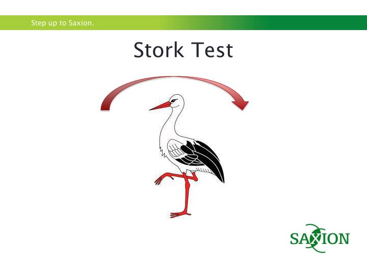 PPT - Bekken samen bekeken Stabiliteit rondom het bekken Testen ...