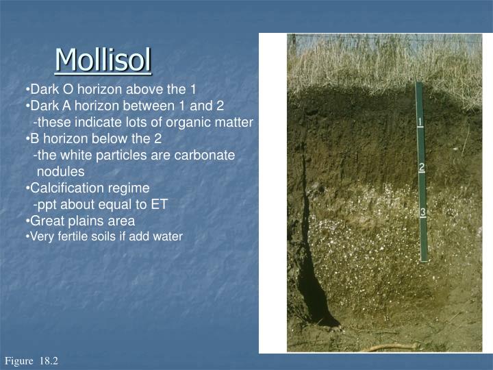 PPT - The Geography of Soils Chapter 18 GEOG 1011 Kristina Klos Wynne ...