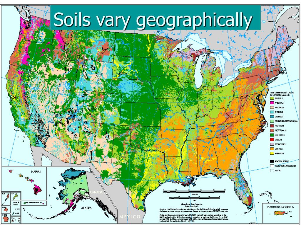 PPT - The Geography of Soils Chapter 18 GEOG 1011 Kristina Klos Wynne ...