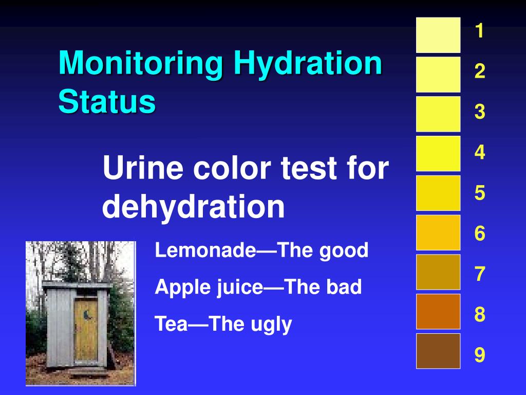 PPT - Military “Sports” Nutrition PowerPoint Presentation, free ...