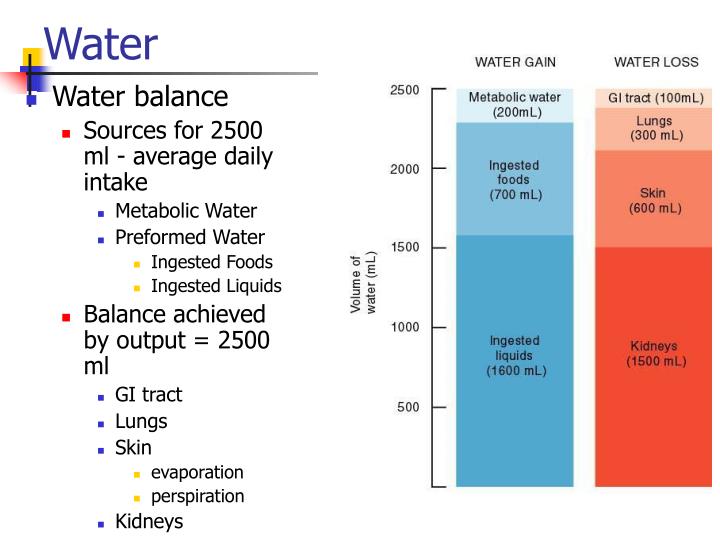 PPT - Chapter 27 PowerPoint Presentation - ID:3379089