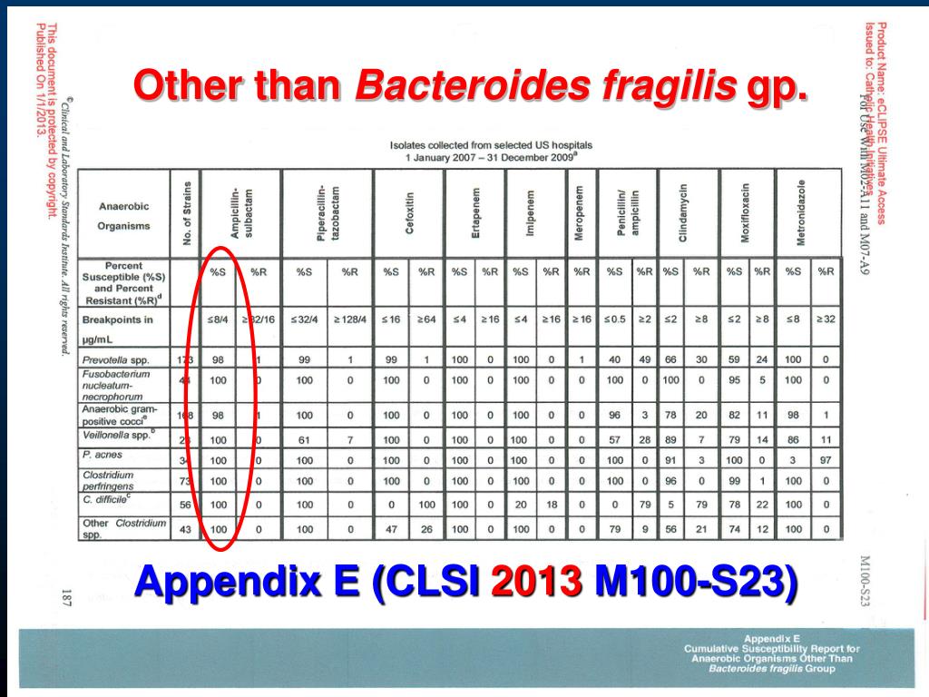 PPT - An Iconoclastic View of Isolates from Acute, Chronic, and ...