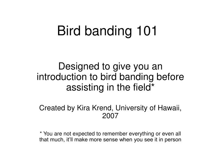 PPT - Bird banding 101 PowerPoint Presentation, free download - ID:3379798