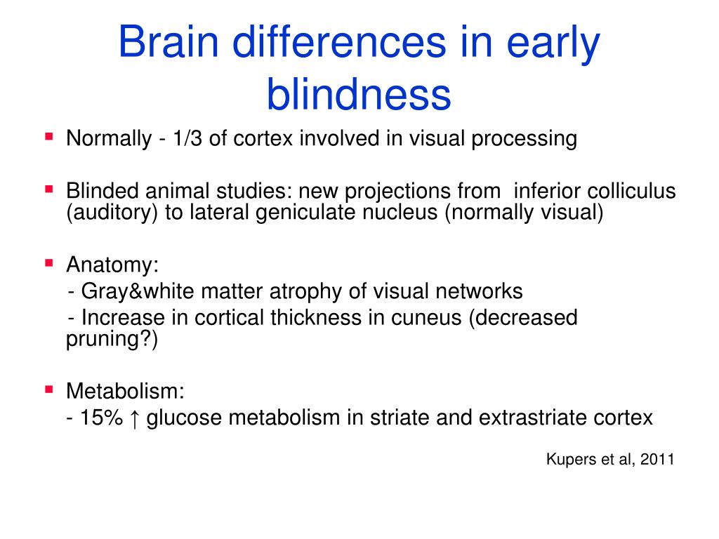 PPT - Plasticity of the Immature Brain: Sensory Deprivation, Focal ...