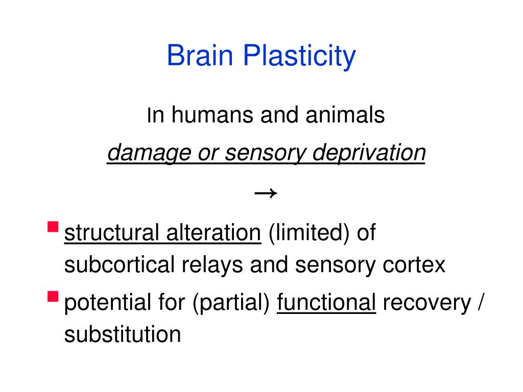 PPT - Plasticity of the Immature Brain: Sensory Deprivation, Focal ...