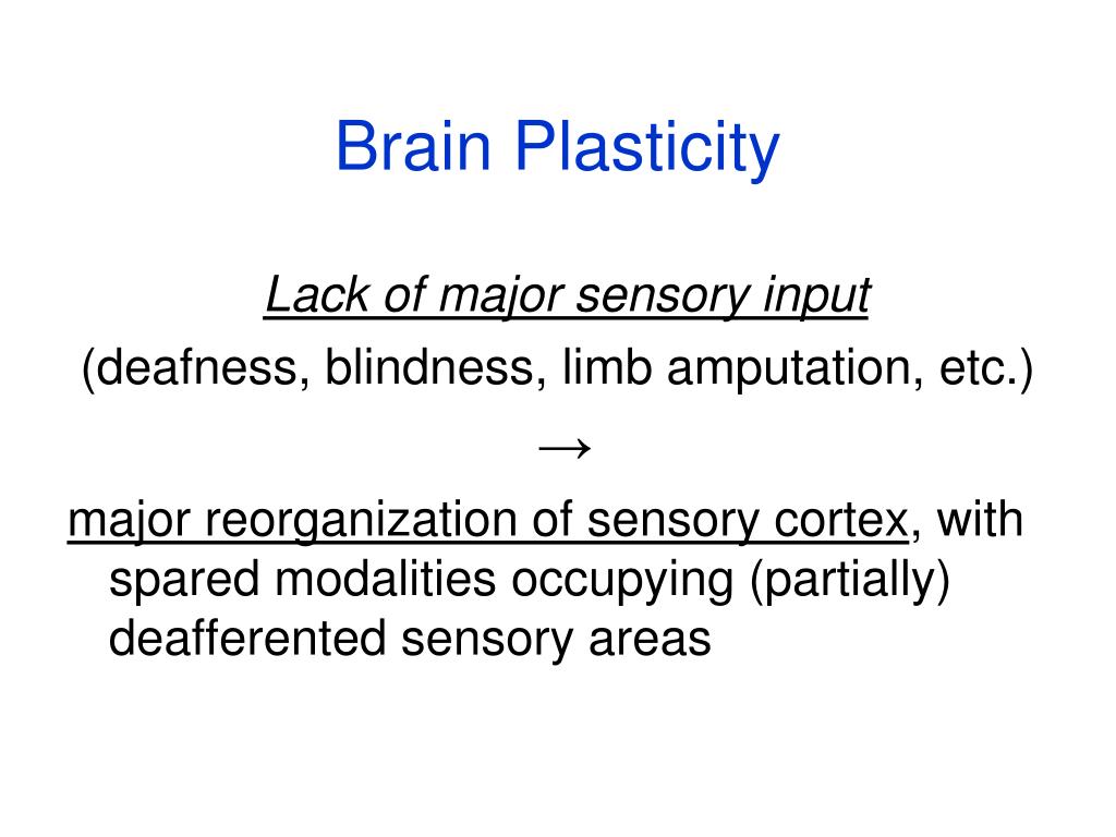 PPT - Plasticity of the Immature Brain: Sensory Deprivation, Focal ...