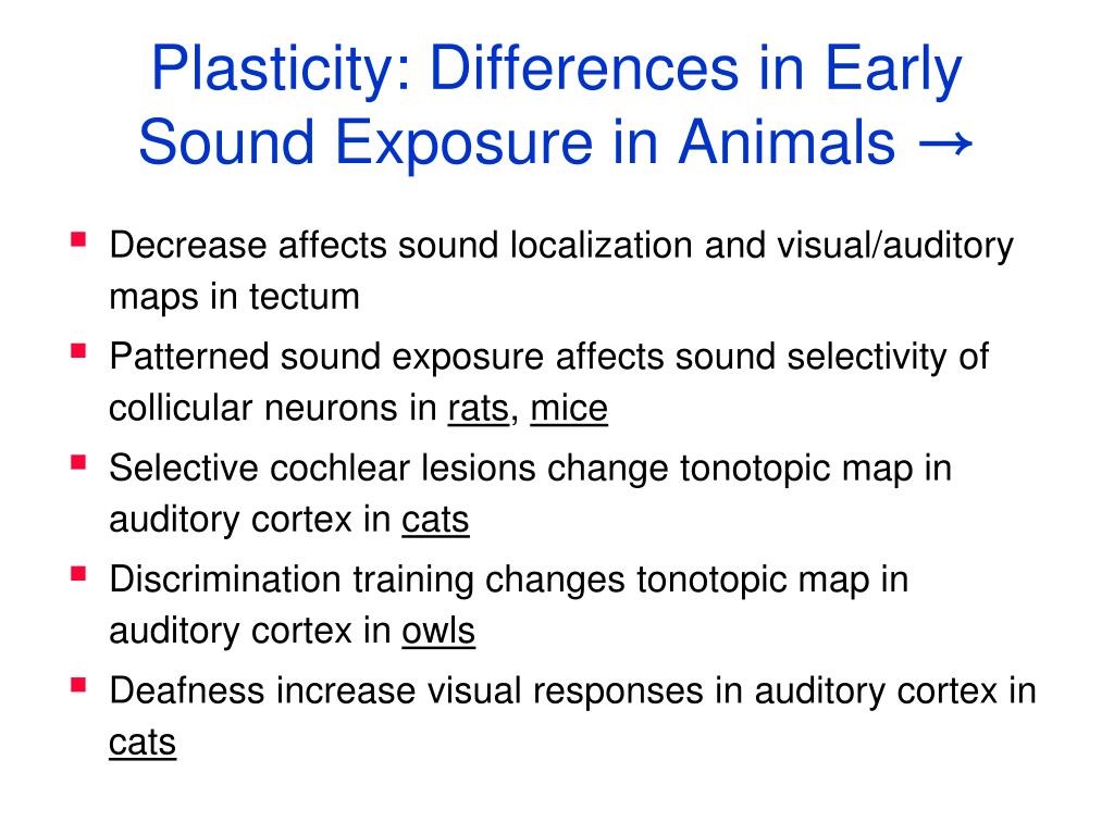 PPT - Plasticity of the Immature Brain: Sensory Deprivation, Focal ...