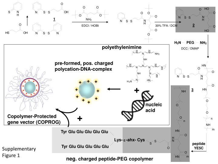 PPT - EDCI / HOBt PowerPoint Presentation, free download - ID:3379995