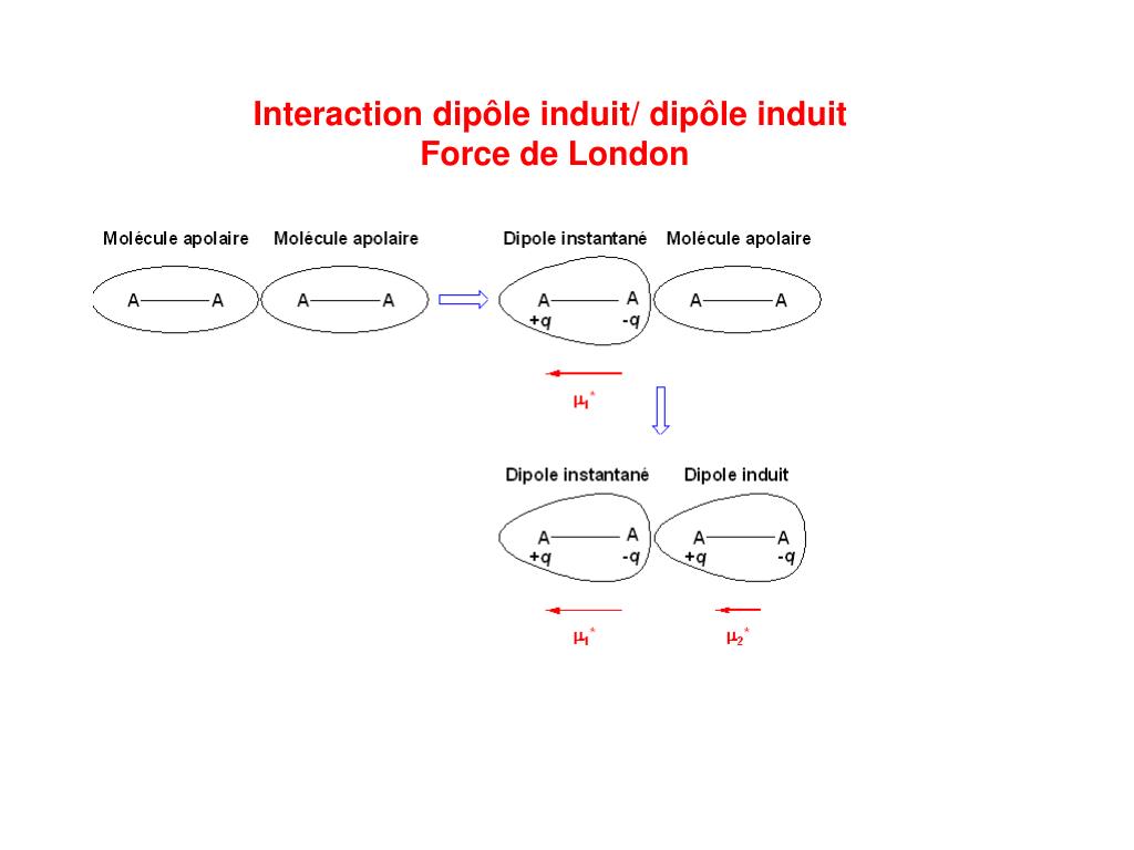 PPT - Interactions faibles intermoléculaires Forces ne s'exerçant qu'à ...