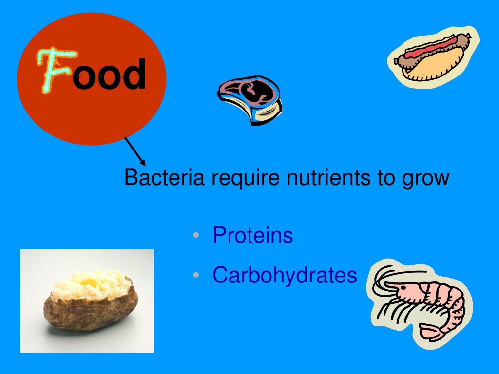PPT - MEASURING THE FOOD SAFETY OF YOUR SCHOOL FOOD OPERATION ...
