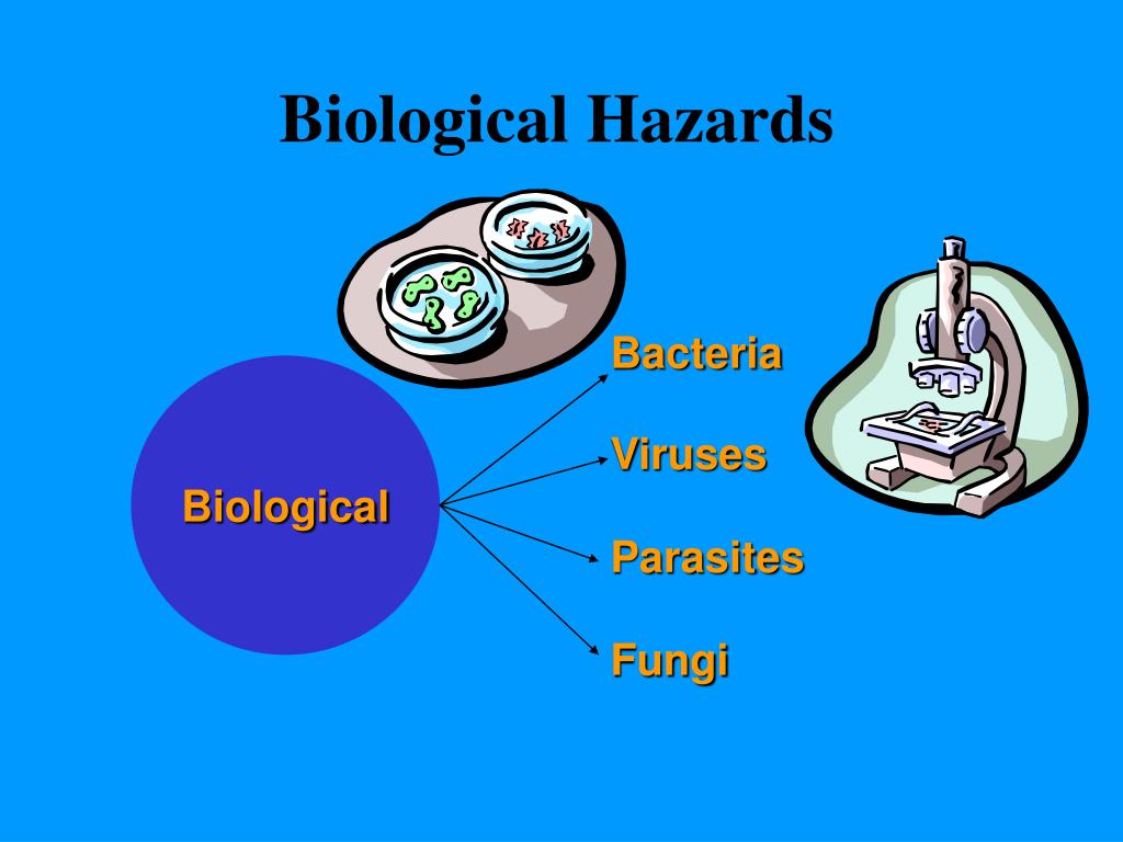 PPT - MEASURING THE FOOD SAFETY OF YOUR SCHOOL FOOD OPERATION ...