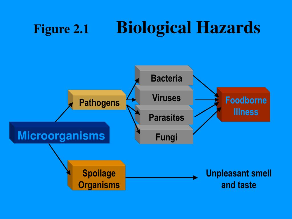 PPT - MEASURING THE FOOD SAFETY OF YOUR SCHOOL FOOD OPERATION ...