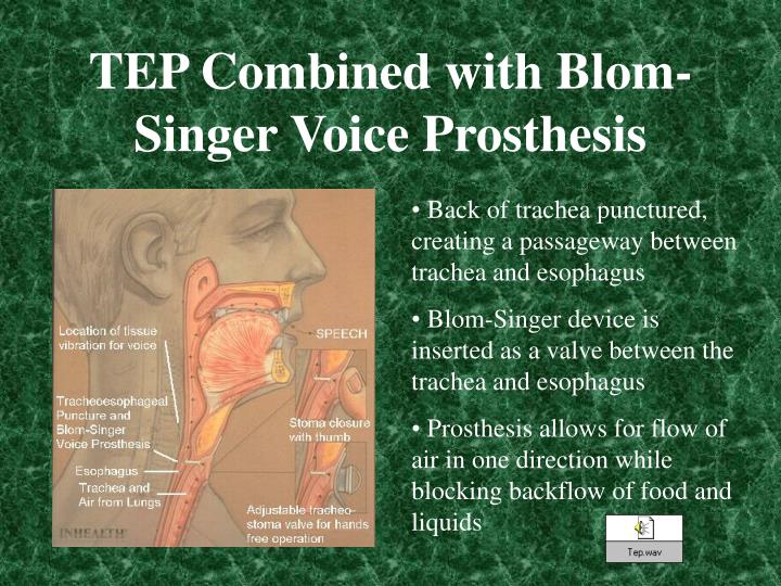 PPT - Tracheoesophageal Voice Prosthesis Insertion Kit PowerPoint ...