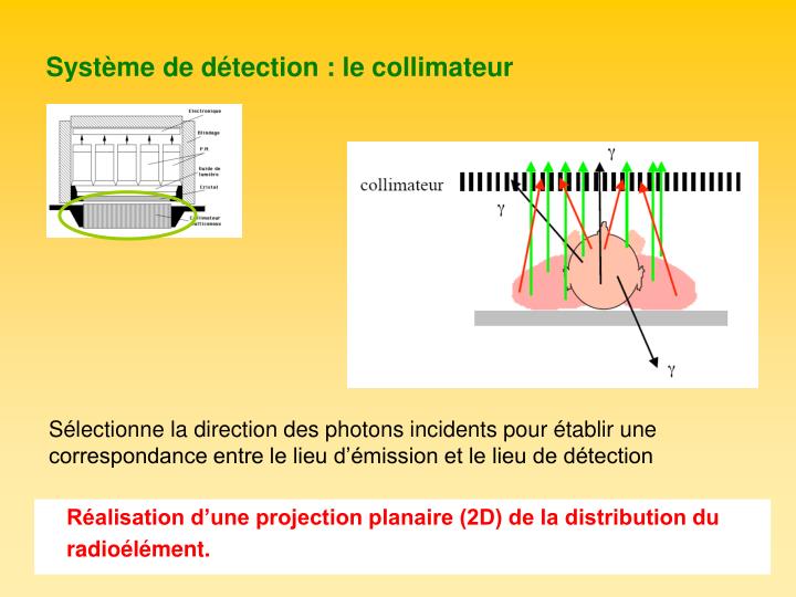 PPT - Imagerie scintigraphique par gamma-caméras PowerPoint ...