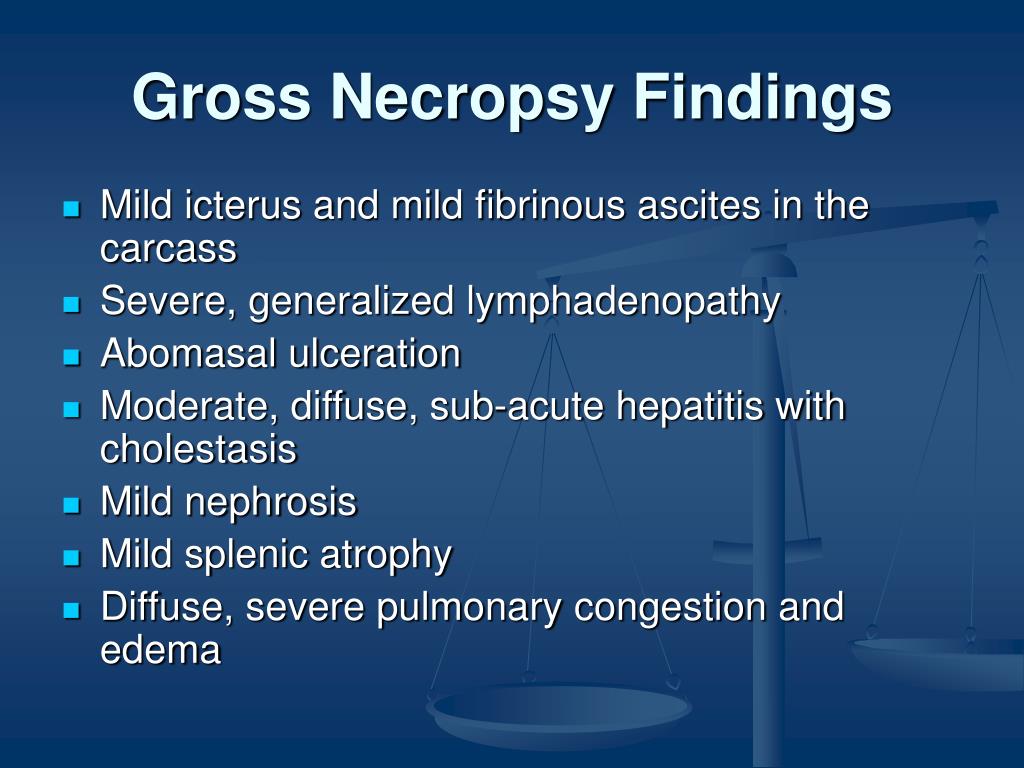 PPT - Mucopurulent Nasal Discharge Outbreak in African Hoofstock: Case ...