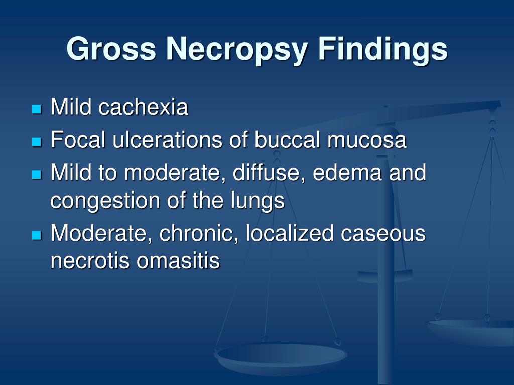 PPT - Mucopurulent Nasal Discharge Outbreak in African Hoofstock: Case ...