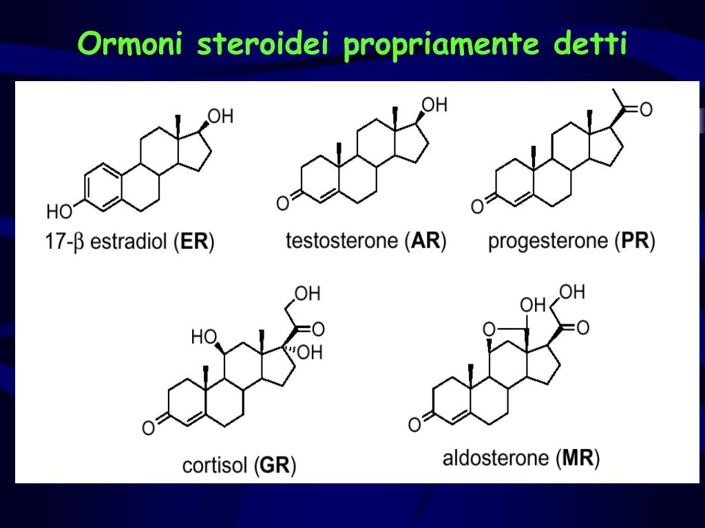 PPT - Steroidi Androgenici Anabolizzanti (AAS) PowerPoint Presentation ...