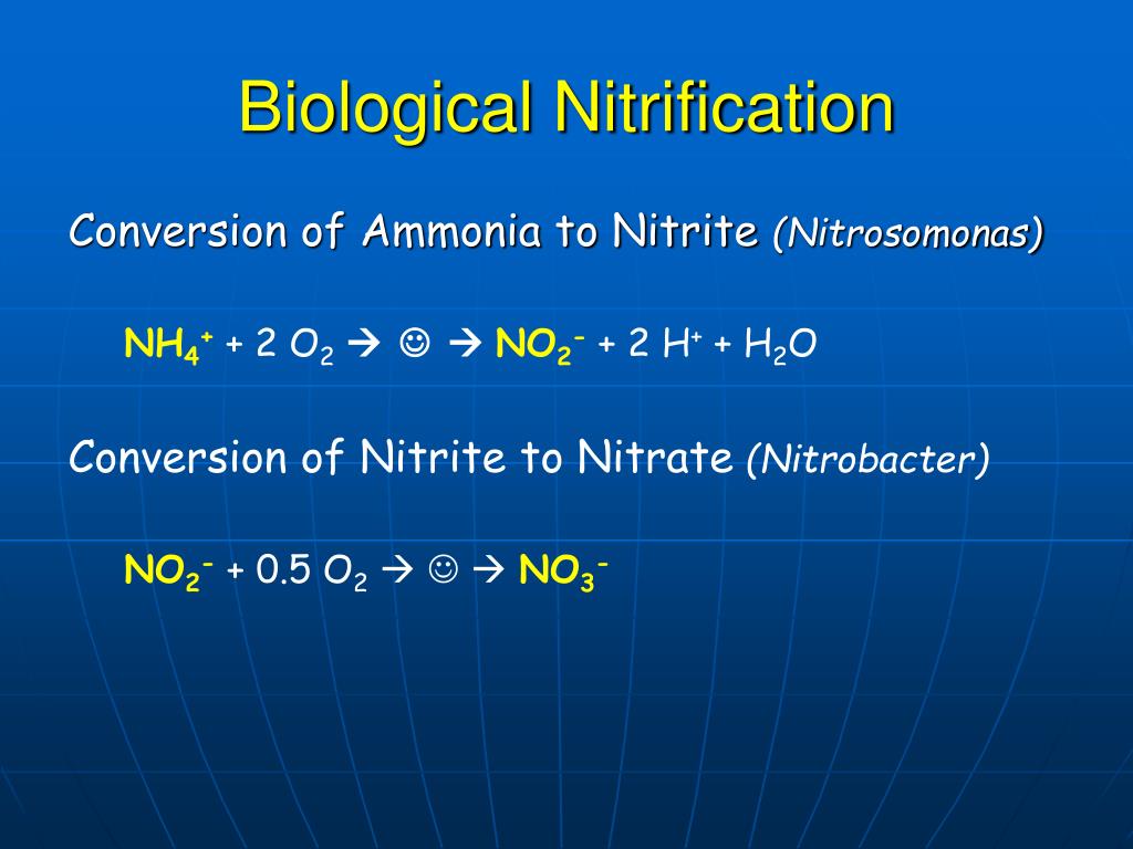 PPT - Tertiary Treatment: Nutrient Removal, Solids Removal, and ...