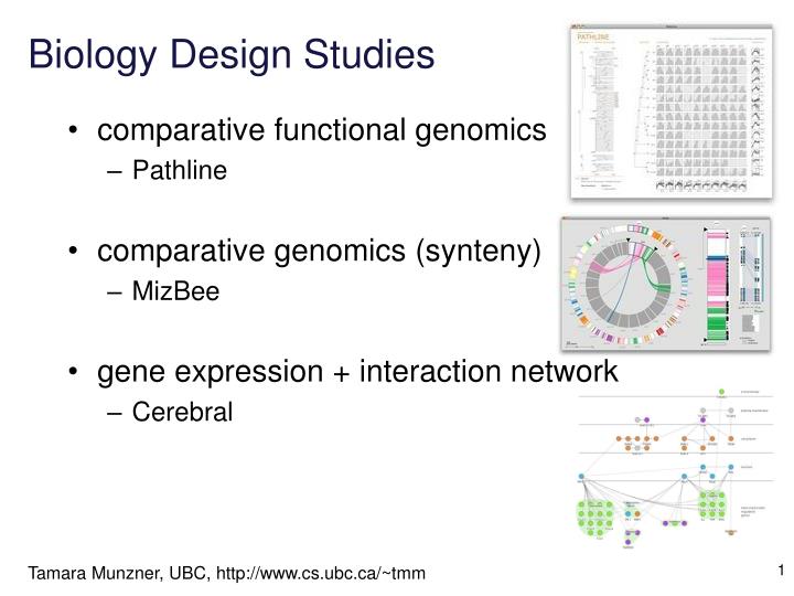 PPT - Biology Design Studies PowerPoint Presentation, free download ...