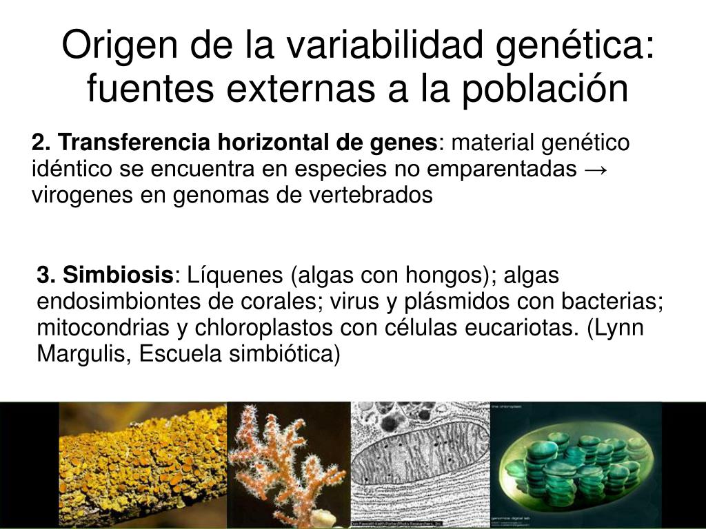 PPT - Genética y evolución Variabilidad genética PowerPoint ...