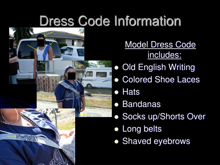 PPT - CRIMINAL STREET GANGS PowerPoint Presentation - ID:3382251