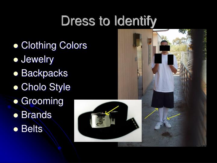 PPT - CRIMINAL STREET GANGS PowerPoint Presentation - ID:3382251