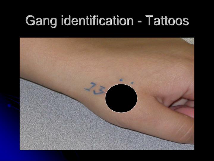 PPT - CRIMINAL STREET GANGS PowerPoint Presentation - ID:3382251