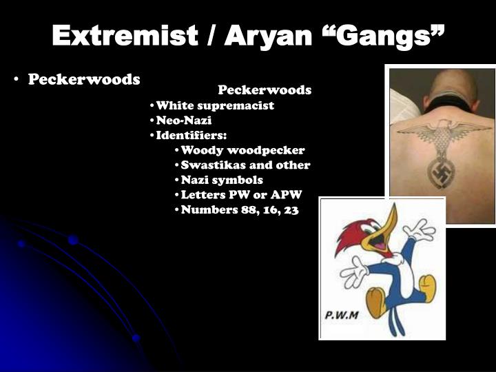 PPT - CRIMINAL STREET GANGS PowerPoint Presentation - ID:3382251