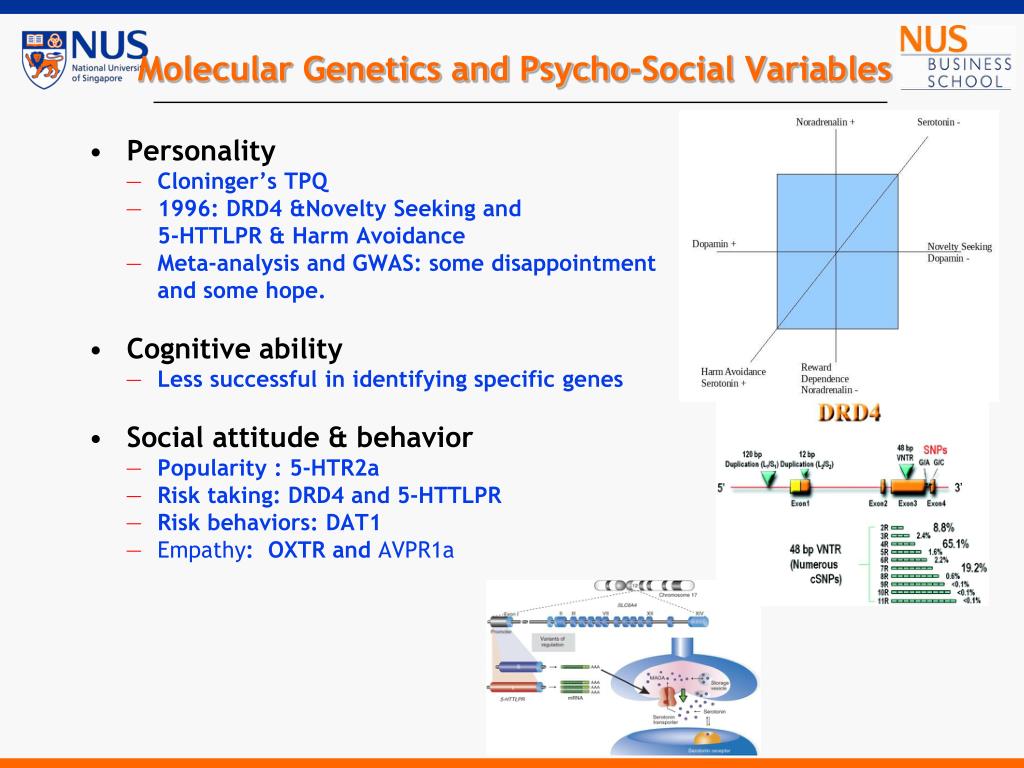 PPT - Molecular Genetics and OB Zhaoli Song Wendong Li Nan Wang ...