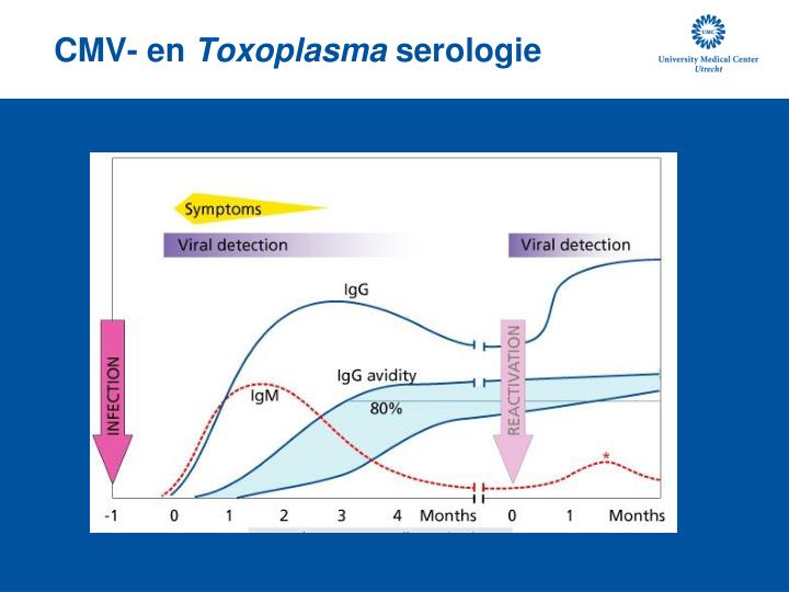 PPT - De CMV EBV Tox rondzending PowerPoint Presentation - ID:3382737