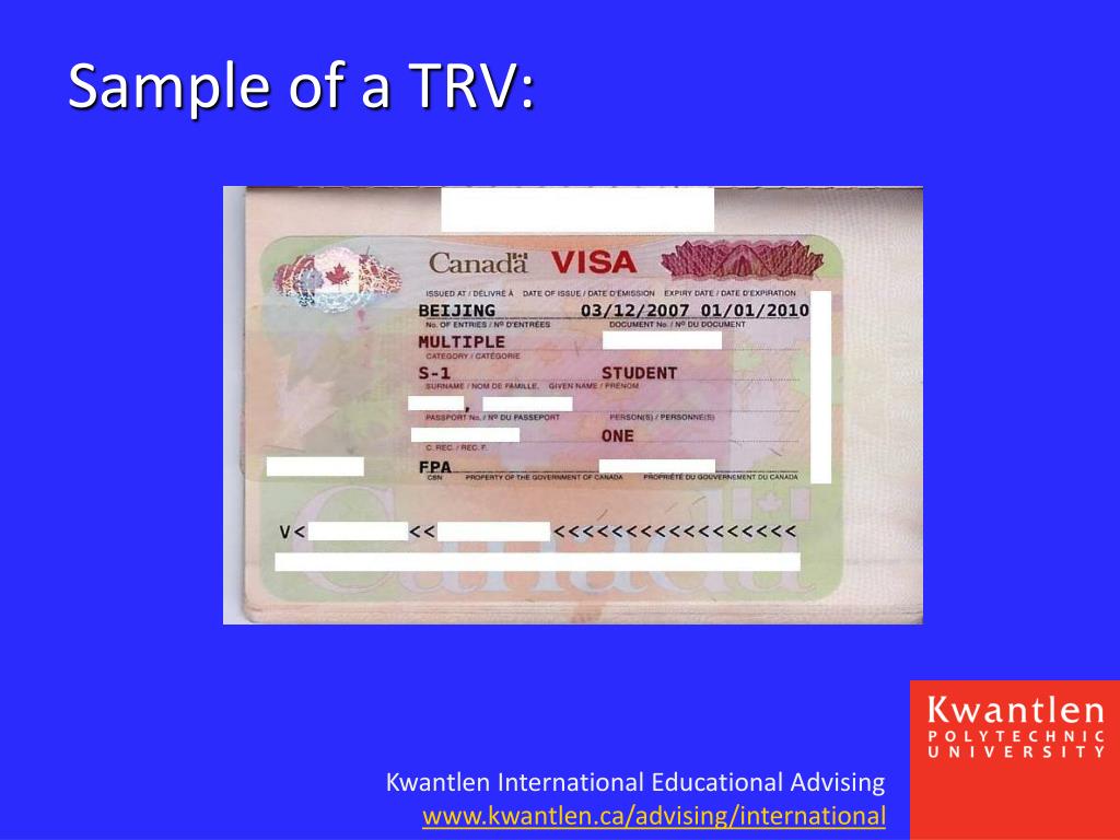 PPT - International Educational Advising: Applying for a Temporary ...