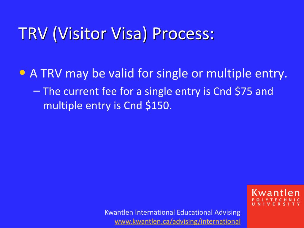 PPT - International Educational Advising: Applying for a Temporary ...