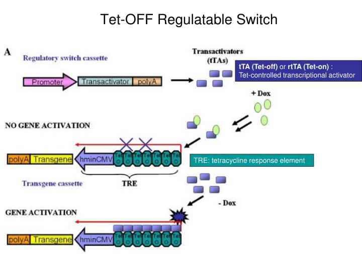 PPT - Presenter: Juan Mo PowerPoint Presentation - ID:3384030