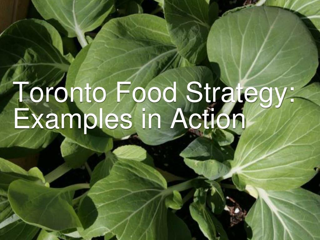 PPT - Barbara Emanuel, Manager Toronto Food Strategy Toronto Public ...