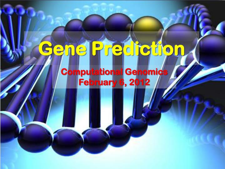 PPT - Gene Prediction PowerPoint Presentation, free download - ID:3384560