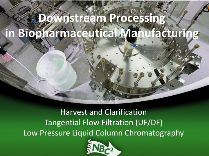 PPT - Downstream Processing in Biopharmaceutical Manufacturing ...
