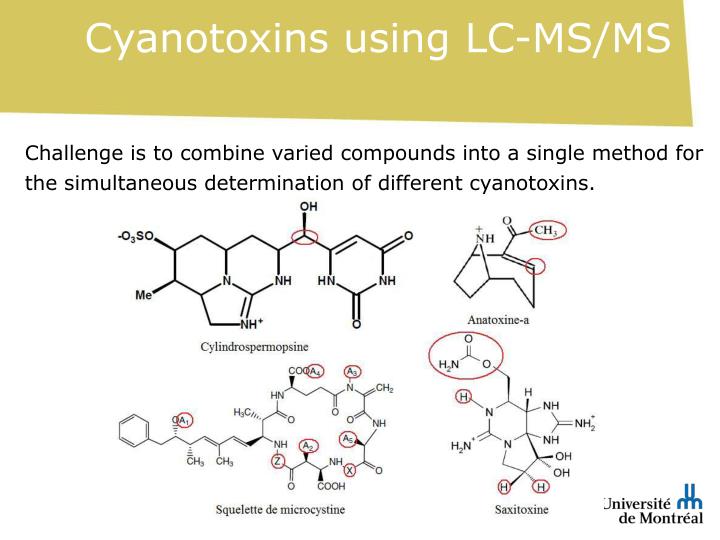 PPT - Accelerating the Analysis of Cyanotoxins PowerPoint Presentation ...