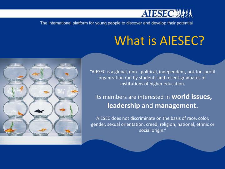 PPT - What is AIESEC? PowerPoint Presentation, free download - ID:3385285