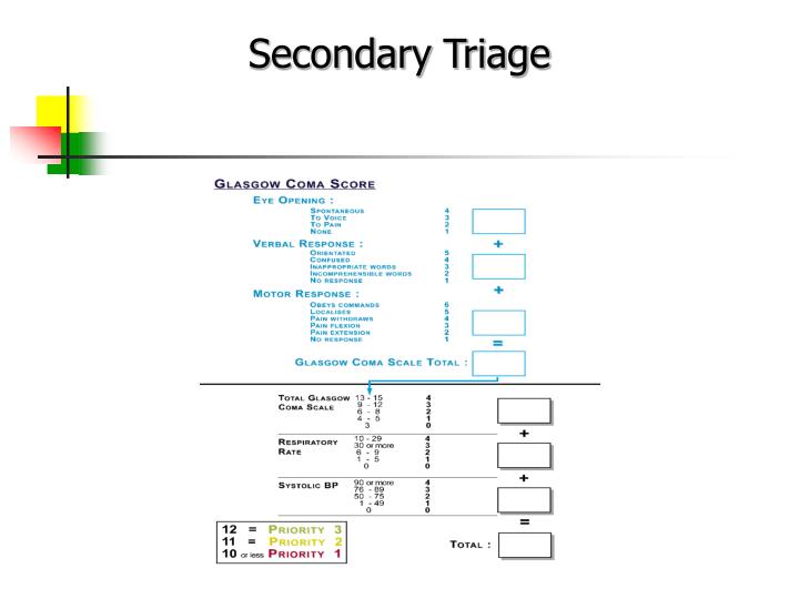 PPT - Disaster Triage START/JUMPSTART PowerPoint Presentation - ID:3386222