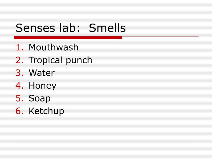 PPT - Senses lab: Smells PowerPoint Presentation, free download - ID ...
